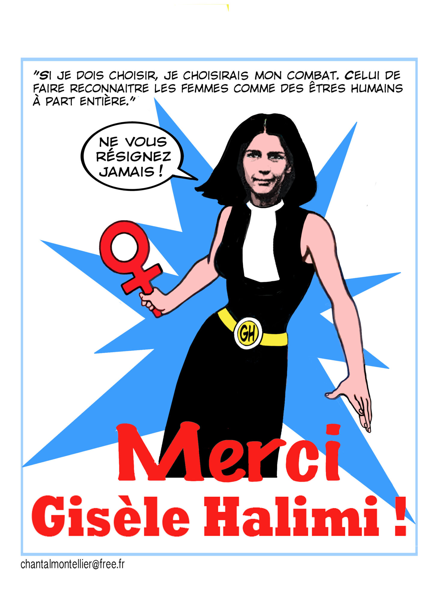 Gisèle Halimi – Blog de Paul Jorion